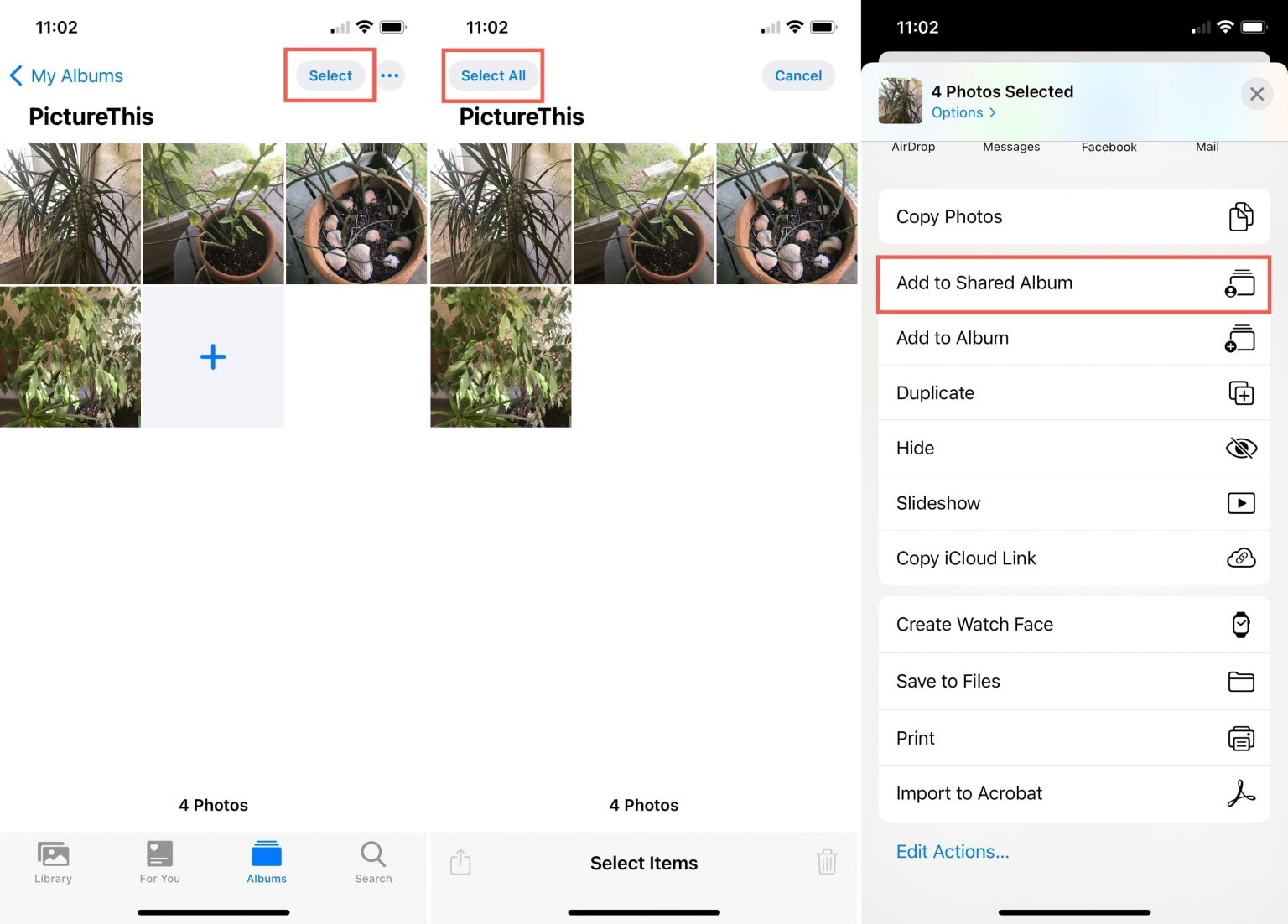 How To Turn An Existing Album Into A Shared Album In Photos Mid Atlantic Consulting Blog