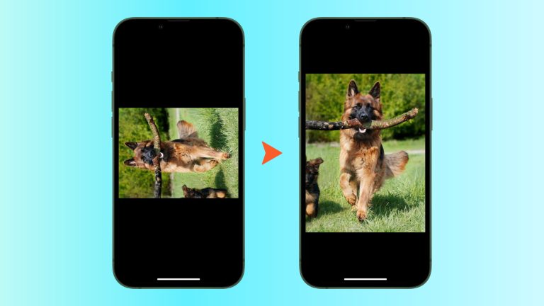 How To Rotate Multiple Images In Batch On IPhone IPad And Mac Mid how-to-rotate-multiple-images-in-batch-on-iphone-ipad-and-mac-mid