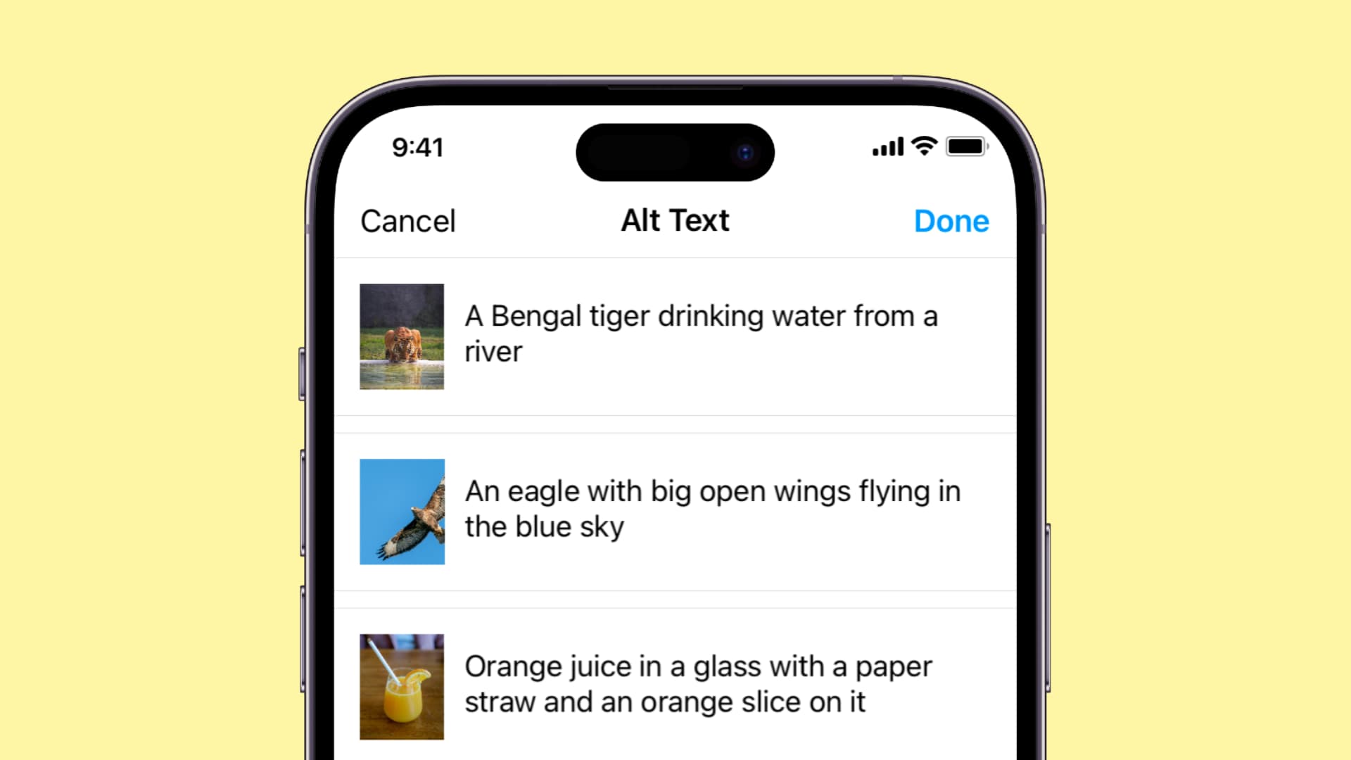 Why And How To Add Alt Text To Your Instagram Posts Mid Atlantic 